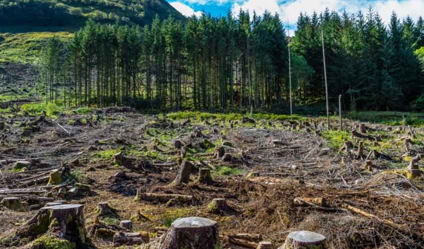 Rs2.78bn allocated to Climate Change Division in new development budget ...