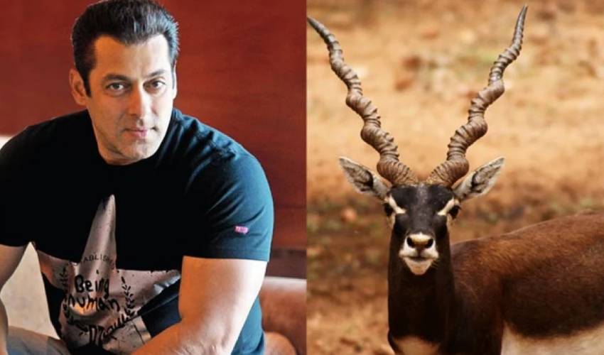 Salman Khan moves to block film linked to blackbuck case | SAMAA TV
