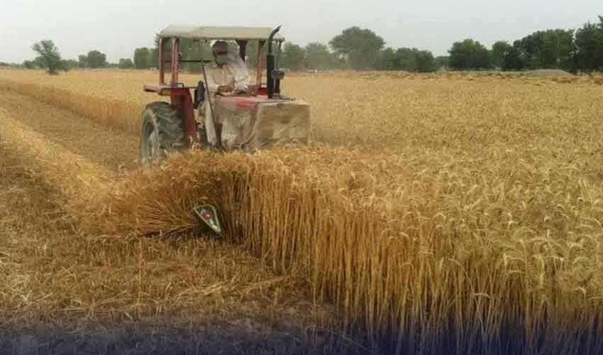Economic Survey 2025-26 shows livestock, agriculture growth | SAMAA TV