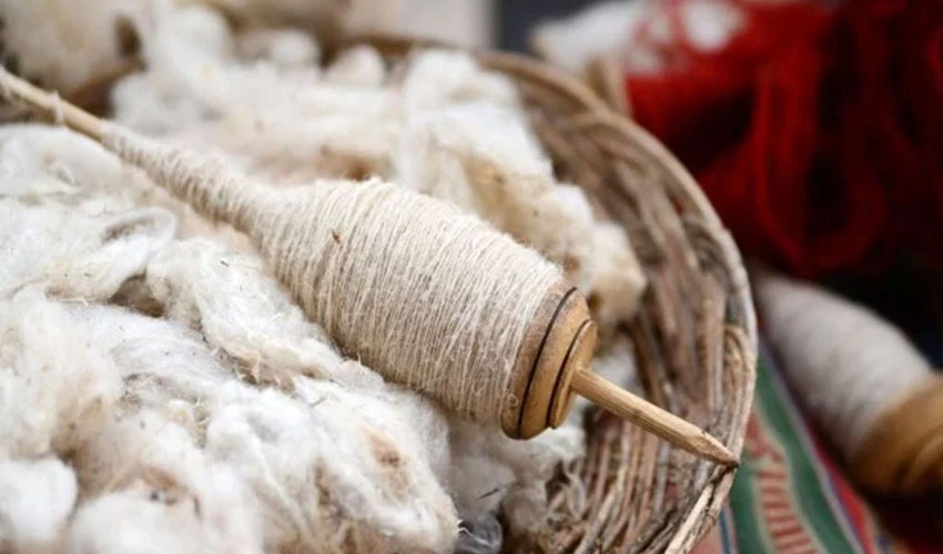 Wool protein breakthrough could transform bone healing | SAMAA TV